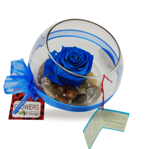 Flowers in Design -ROSAS-ETERNAS