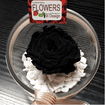 Flowers in Design -ROSAS-ETERNAS
